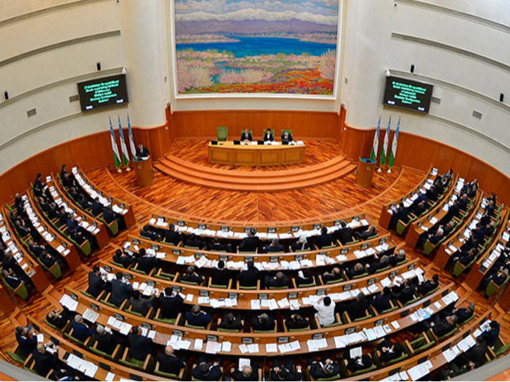 Oliy Majlis Senatining o‘n to‘qqizinchi yalpi majlisida qanday qonunlar ...